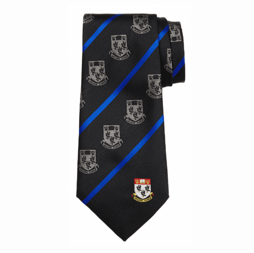 Nottingham High School Senior House Tie 54" - Cooper - Schoolwear Solutions