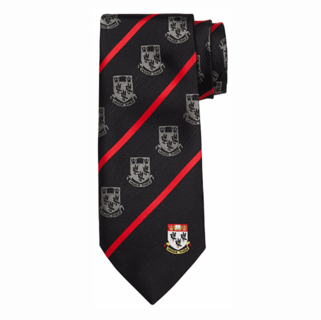 Nottingham High School Senior House Tie 54" - White - Schoolwear Solutions